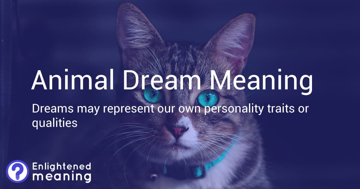 Meaning Of Animal Dreams at Martin Loya blog