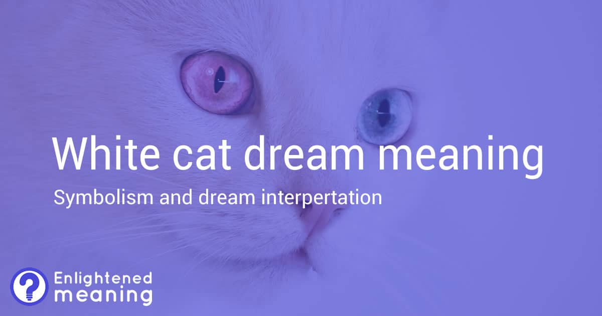White Cat Dream: Meaning and Symbolism Explained - Enlightened Meaning