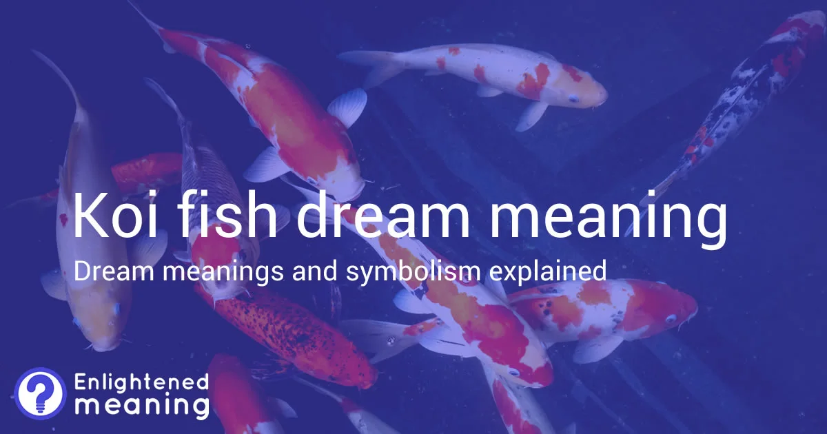 Koi Fish Dream Meaning: 16 A Symbols of Good Fortune - Enlightened Meaning