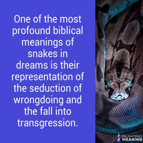 Biblical Meaning of Snakes in Dreams: Unraveling Spiritual Symbols and ...